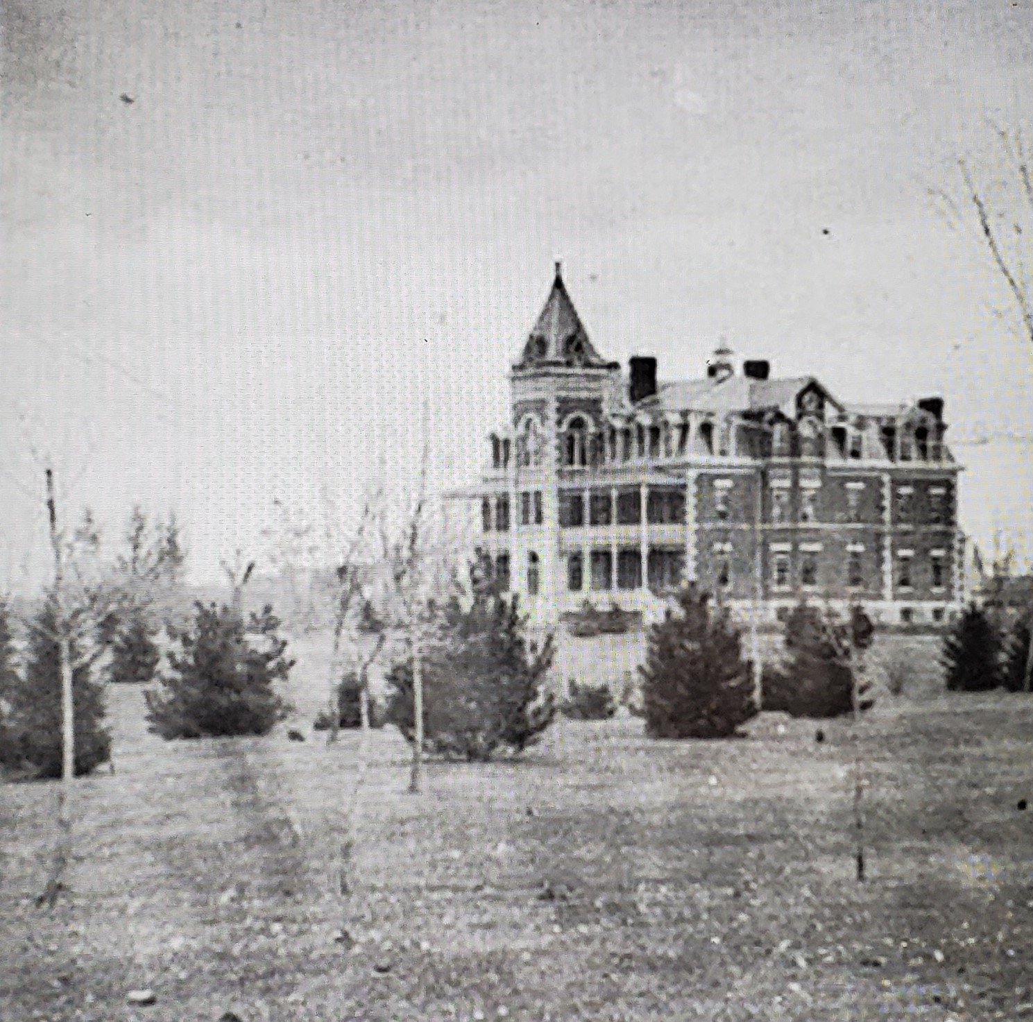 Hamilton Asylum Land Acquisitions 1875-1909 – Where's Rose?